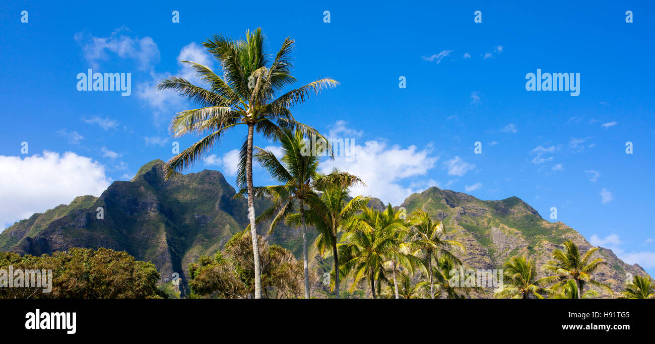 Koolau Mountains, Oahu, Hawaii Stock Photo - Alamy
