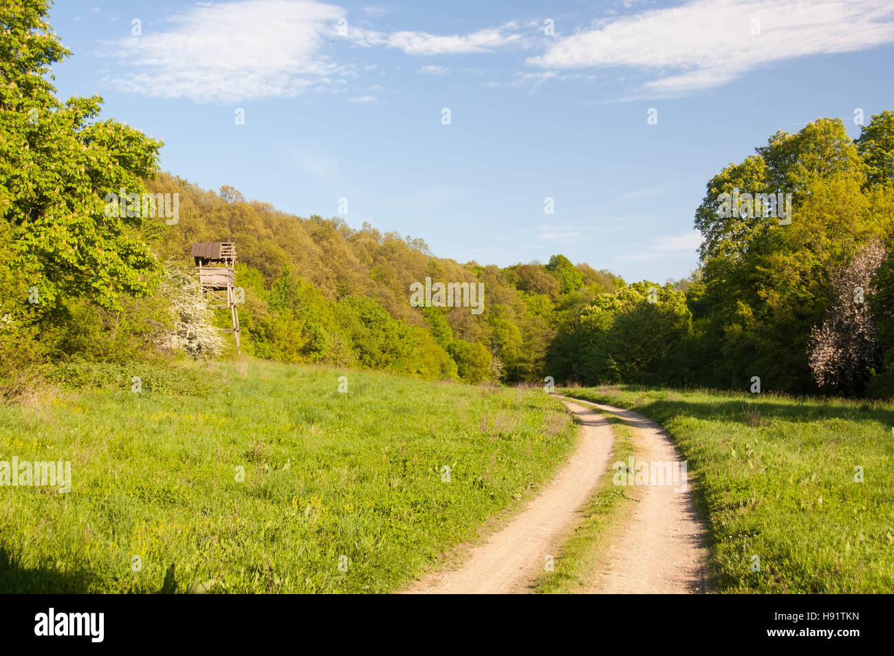 Old hunting blind hi-res stock photography and images - Alamy