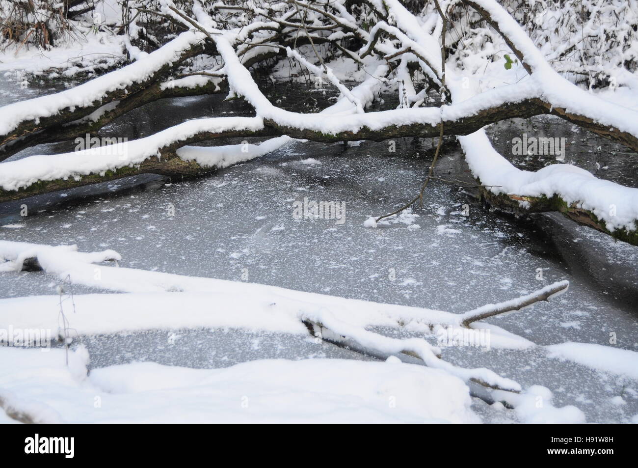 Snow, logs and ice Stock Photo - Alamy