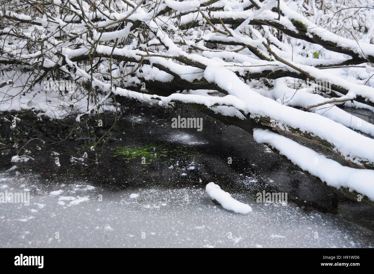 Snowy log and water Stock Photo - Alamy