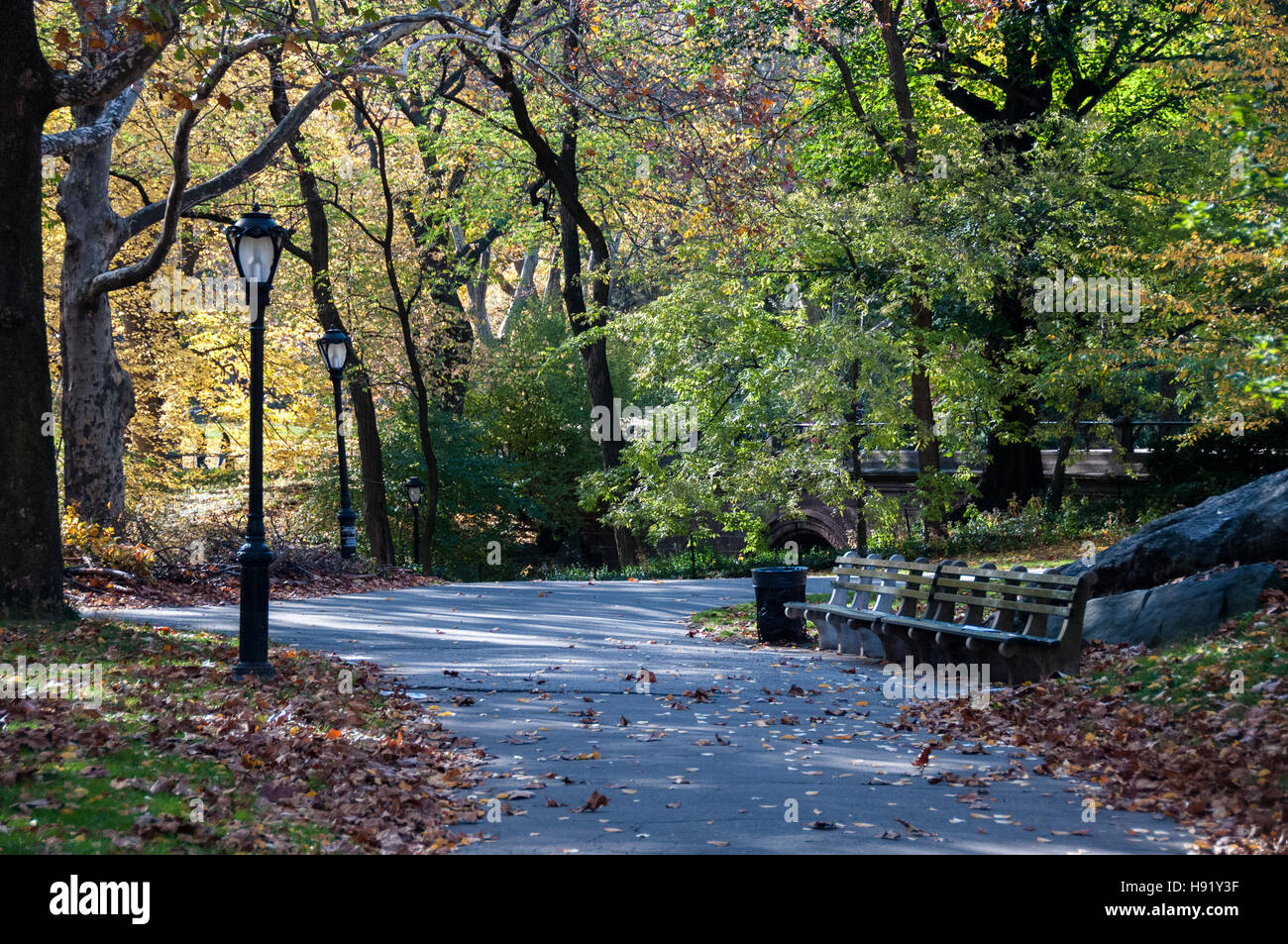 Photo shot from inside Central Park in New York Stock Photo - Alamy