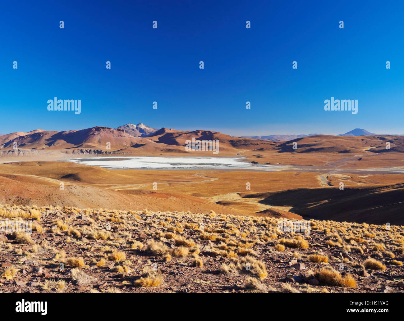 Bolivia, Potosi Department, Sur Lipez Province, View towards Laguna ...
