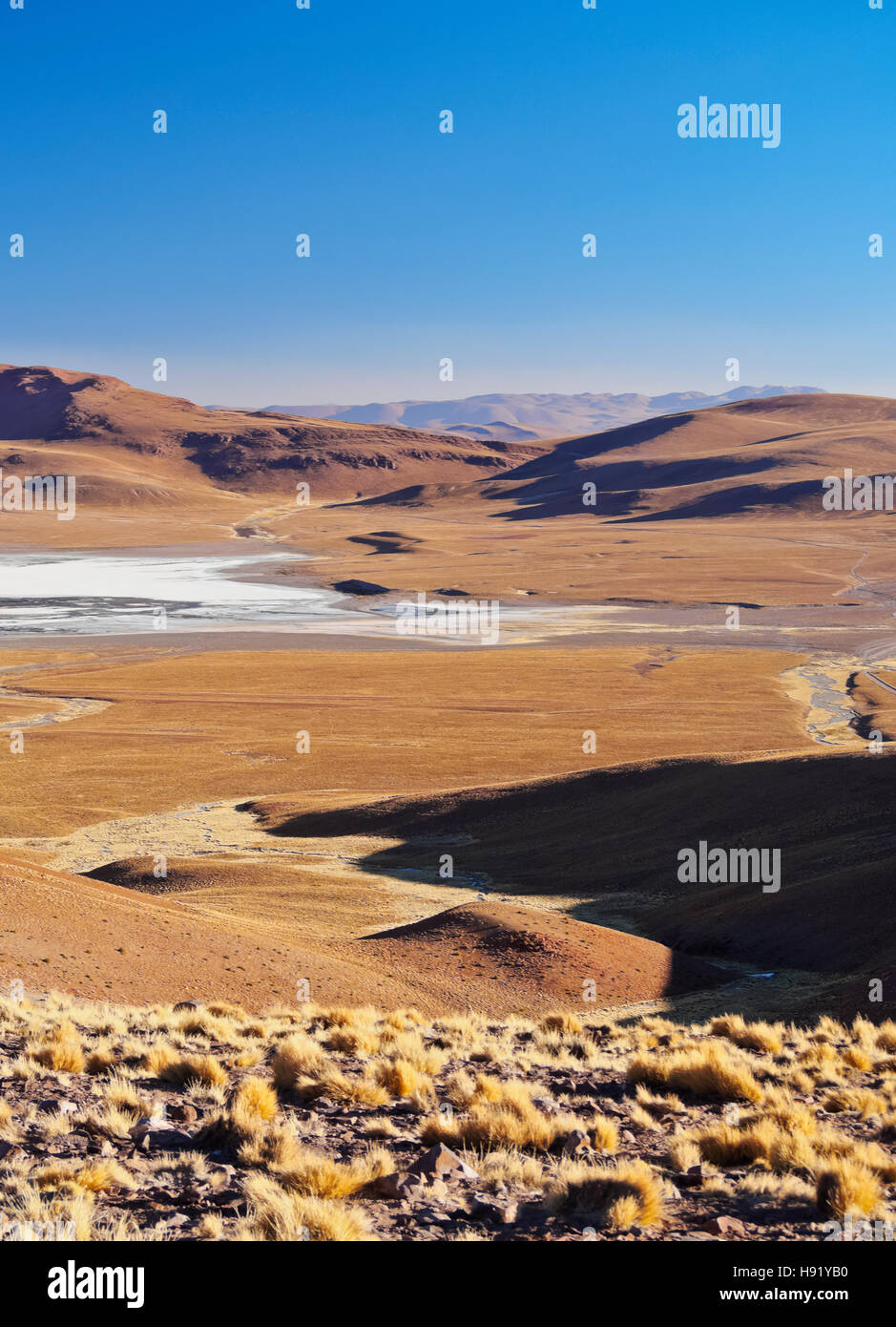 Bolivia, Potosi Department, Sur Lipez Province, View towards Laguna ...