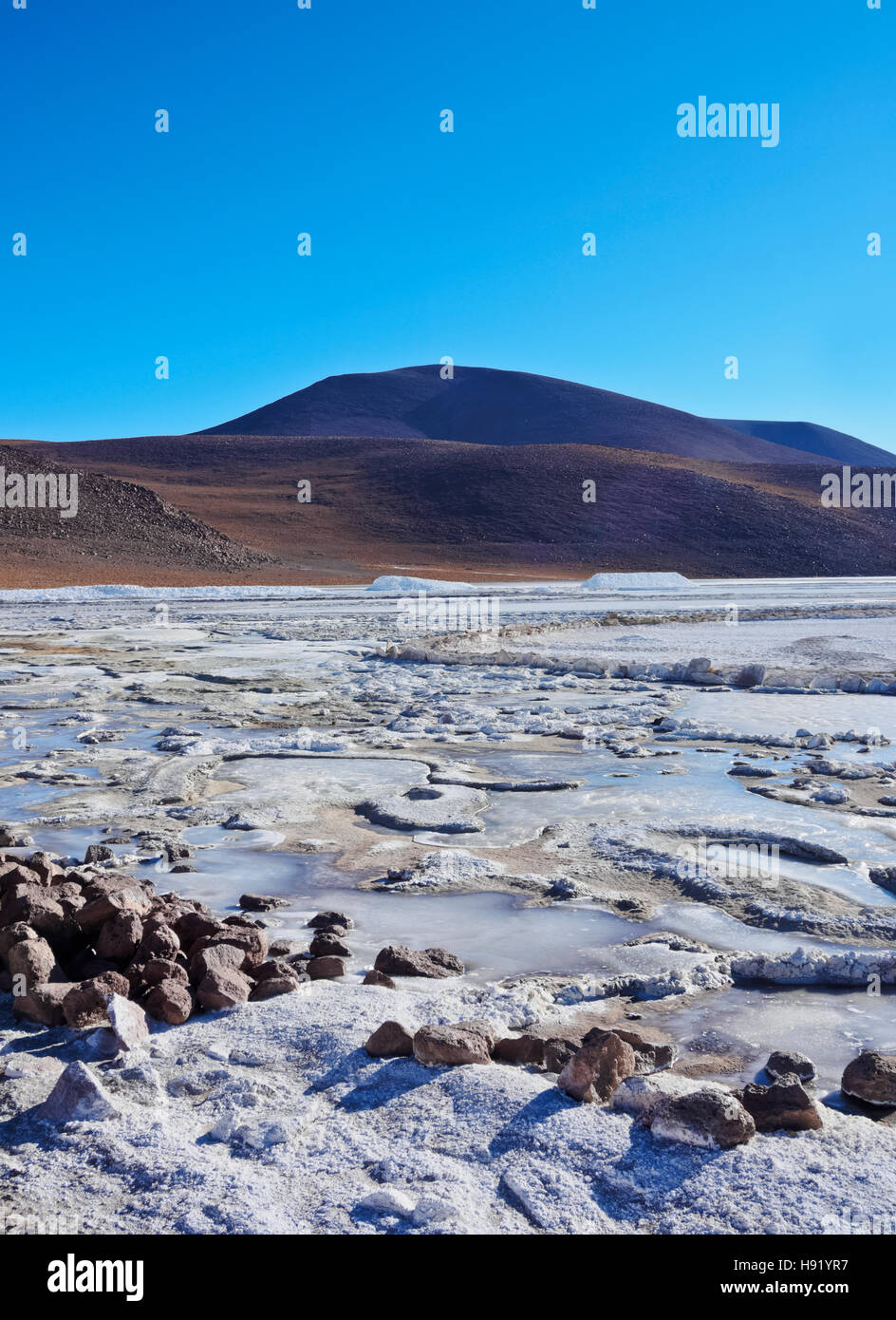 Bolivia Potosi Departmant Sur Lipez Province Eduardo Avaroa Andean ...