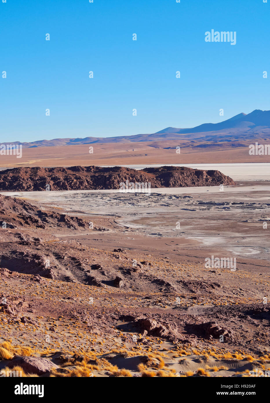 Bolivia, Potosi Departmant, Landscape of the Nor Lipez Province Stock ...