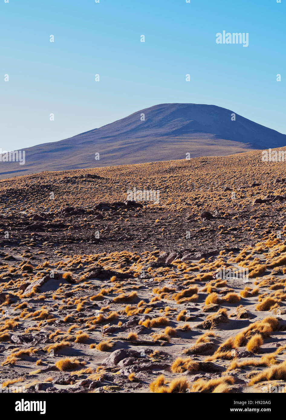 Bolivia, Potosi Departmant, Landscape of the Nor Lipez Province Stock ...