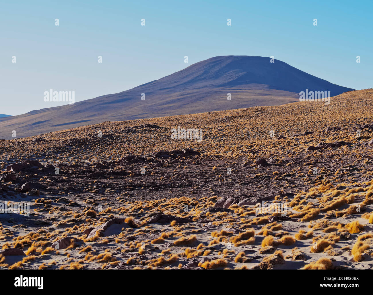 Bolivia, Potosi Departmant, Landscape of the Nor Lipez Province Stock ...