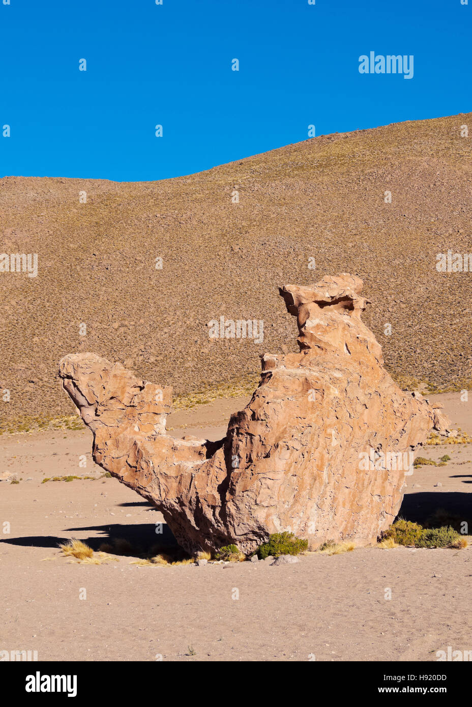 Bolivia Potosi Departmant Nor Lipez Province Landscape of the Valle de ...