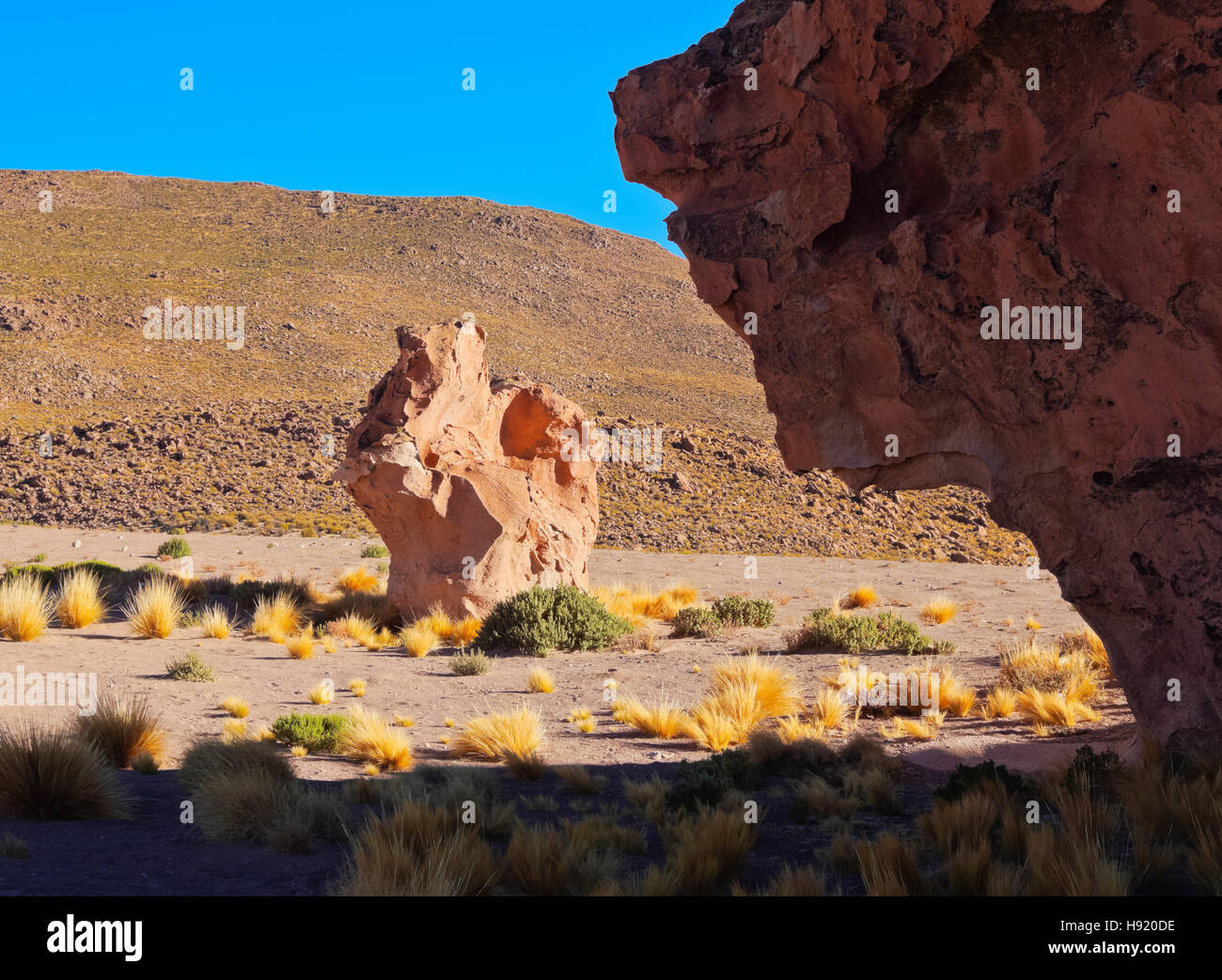 Bolivia, Potosi Departmant, Nor Lipez Province, Landscape of the Valle ...