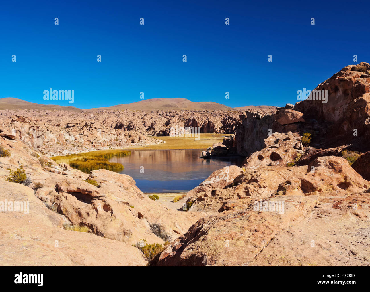 Bolivia, Potosi Departmant, Nor Lipez Province, Valle de las Rocas ...