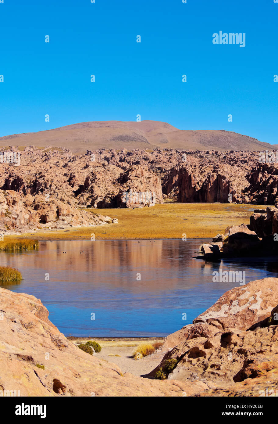 Bolivia, Potosi Departmant, Nor Lipez Province, Valle de las Rocas ...