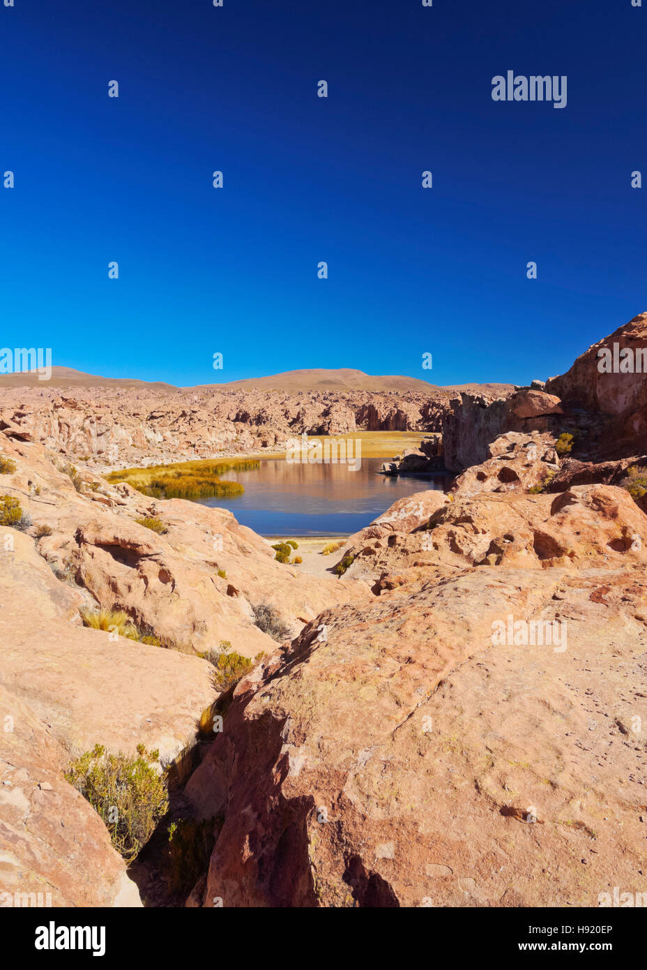 Bolivia, Potosi Departmant, Nor Lipez Province, Valle de las Rocas ...
