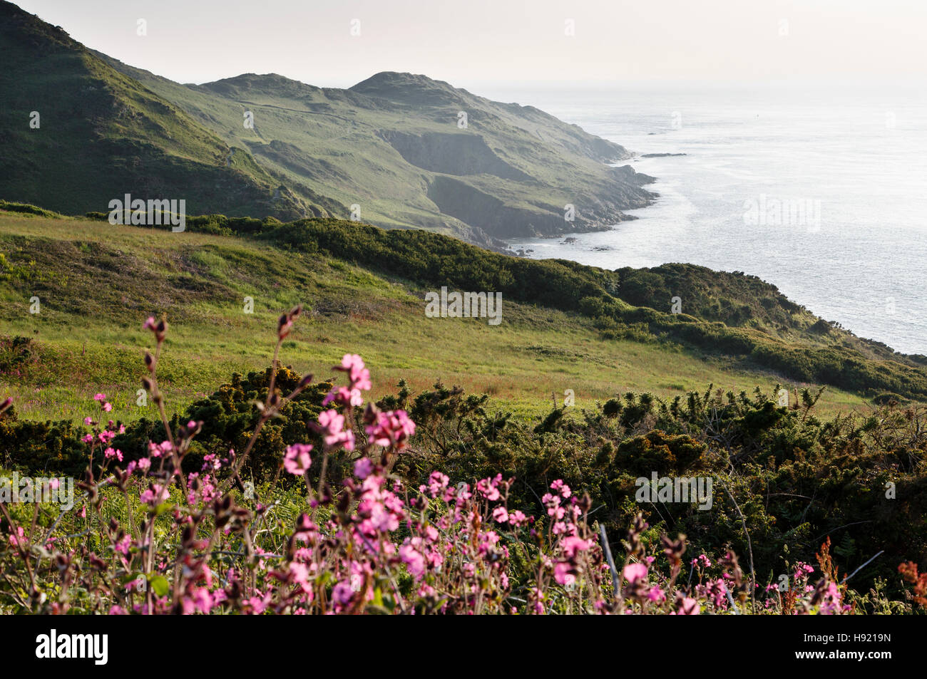 Rockham Beach High Resolution Stock Photography and Images - Alamy