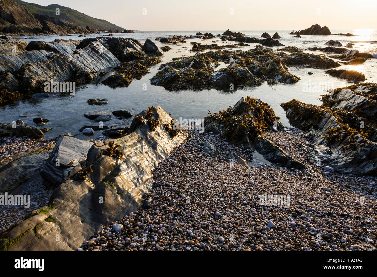 Evening light in Rockham Bay, near Mortehoe, Devon Stock Photo - Alamy