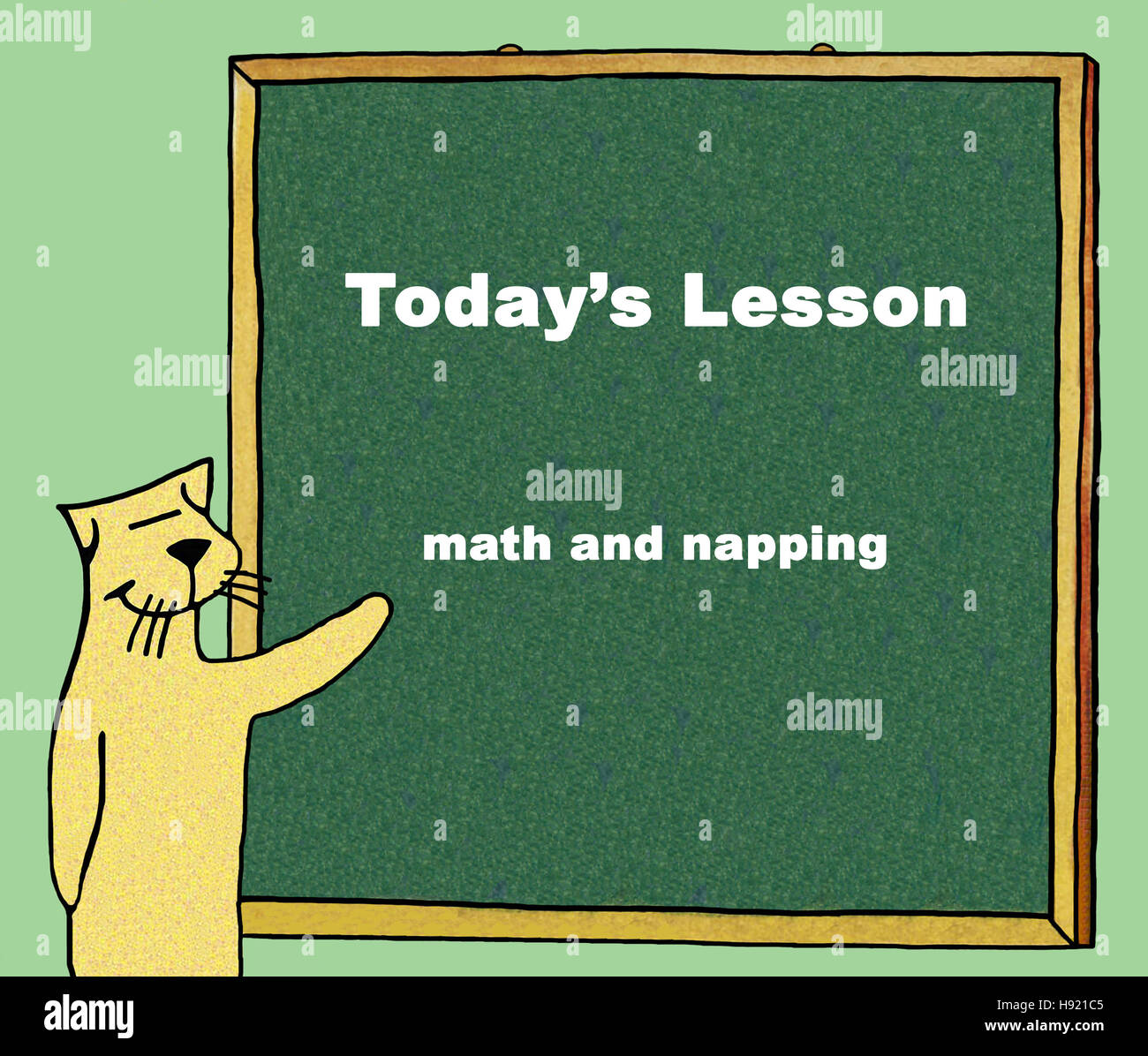 Color education illustration about a cat teacher's lesson plan: math ...