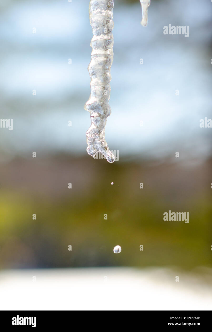 Abstract icicles sparkle, melt slowly in mild winter sun. Hanging low ...