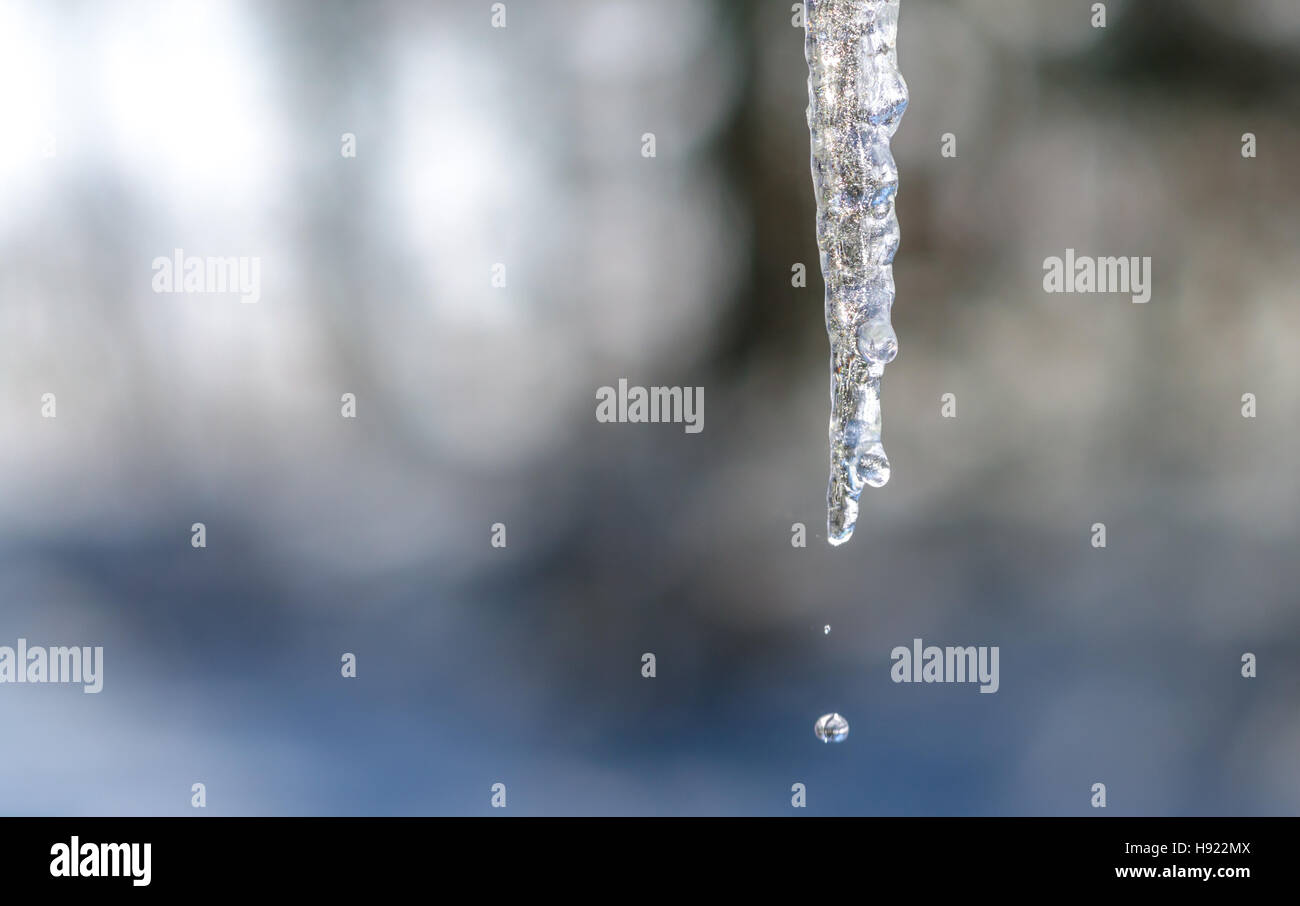Abstract icicles sparkle, melt slowly in mild winter sun. Hanging low ...