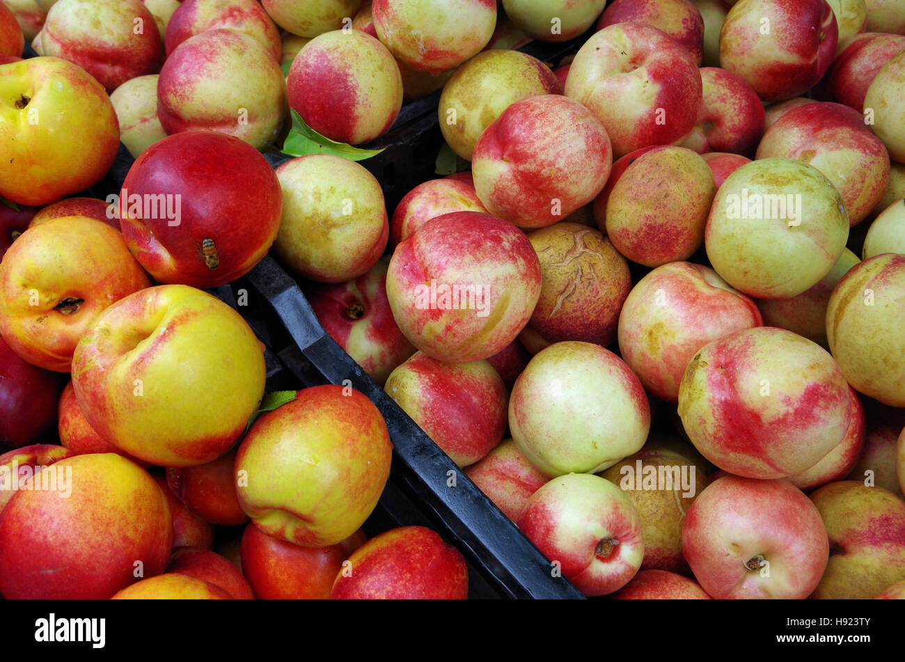 Red yellow nectarines overflowing market crates closeup Stock Photo - Alamy