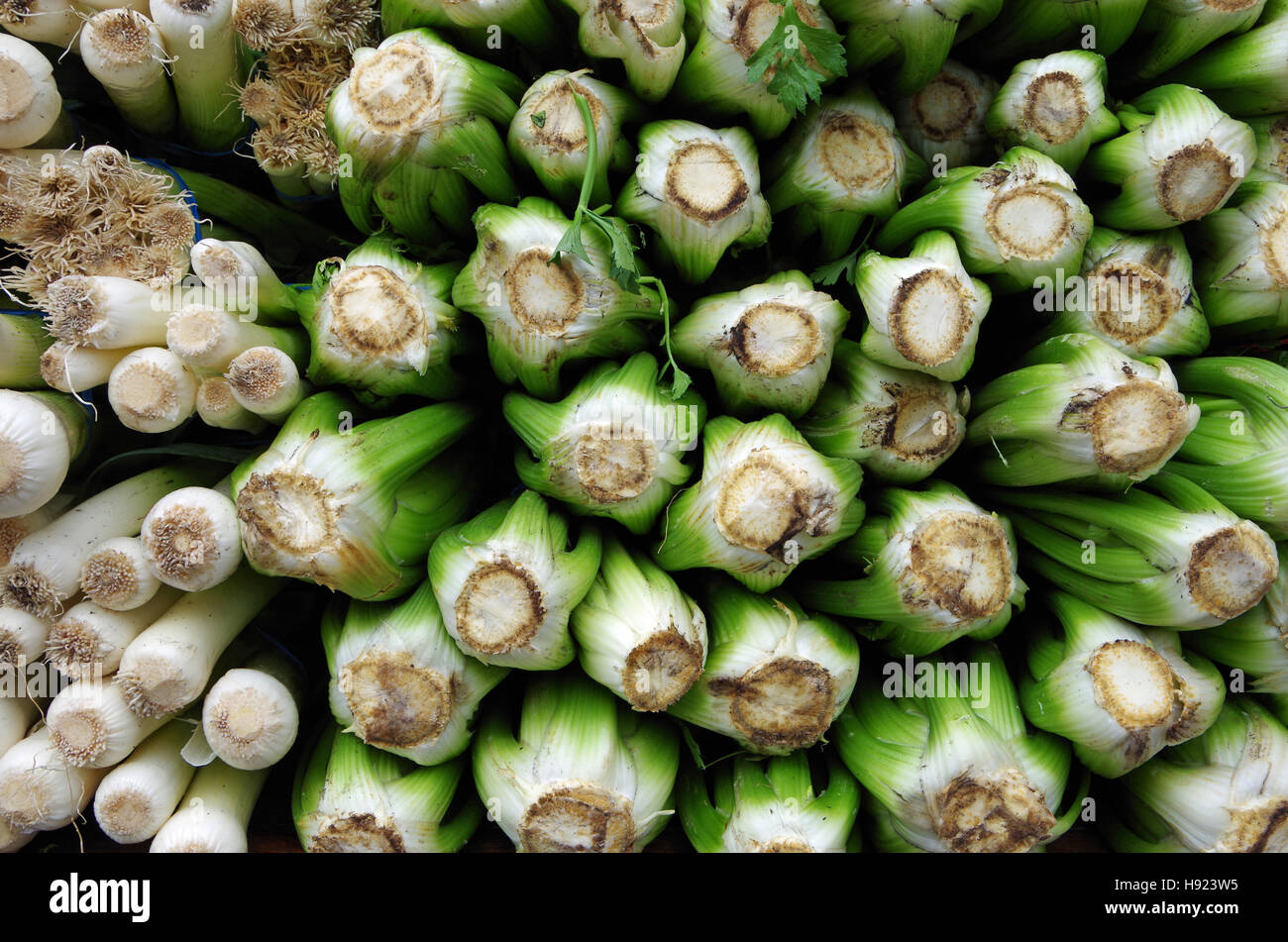 Celery stalk hi-res stock photography and images - Alamy