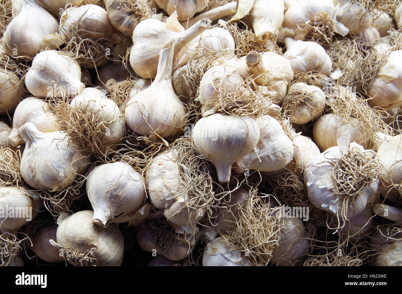 Clove Roots High Resolution Stock Photography and Images - Alamy