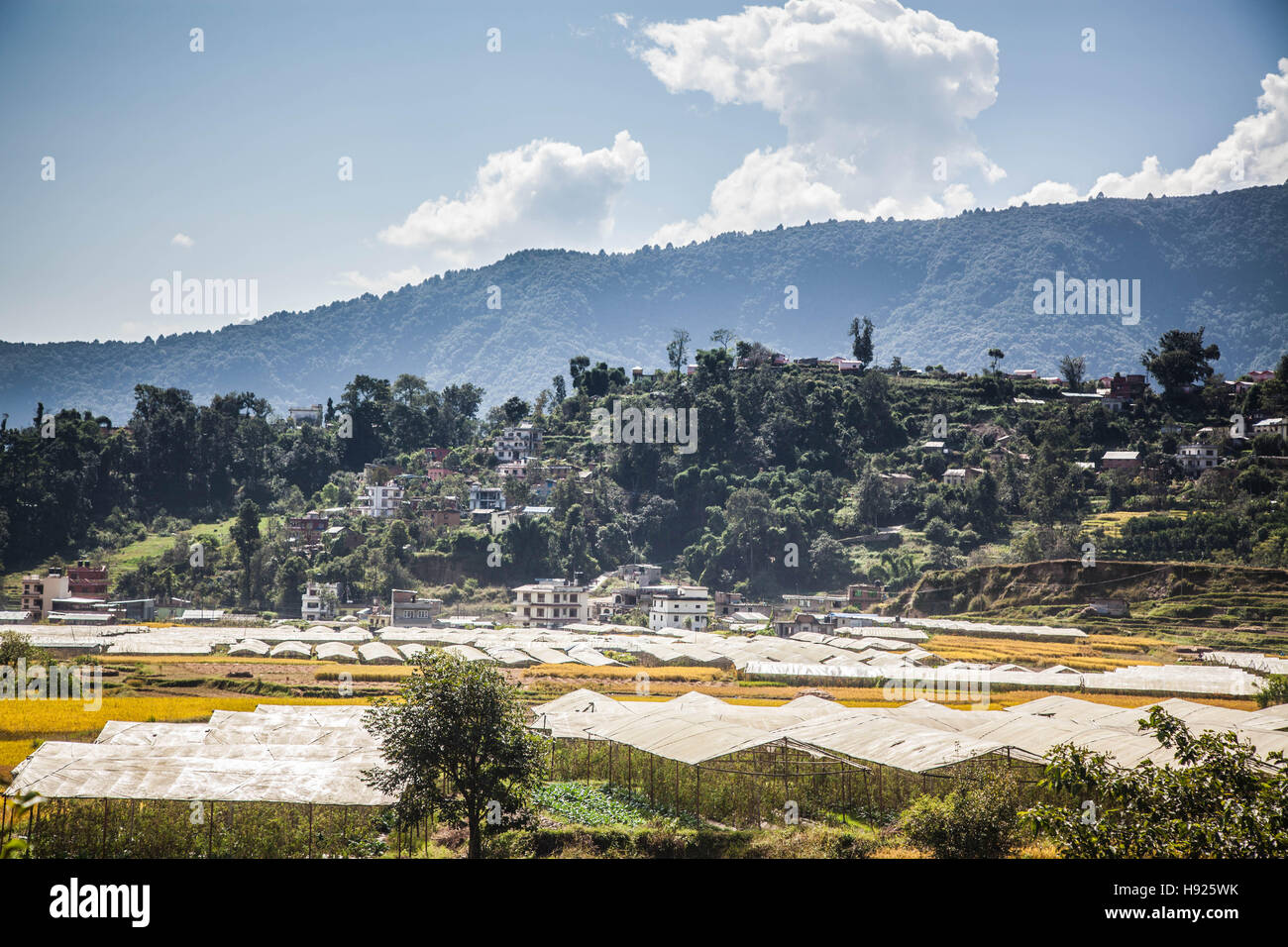 Scap hi-res stock photography and images - Alamy