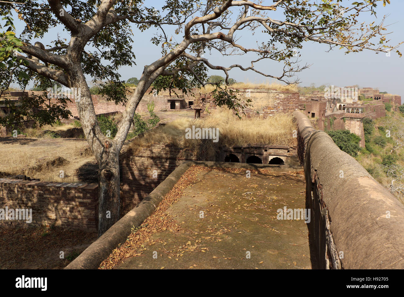 Ruins of thousand years old Narwar Fort Stock Photo - Alamy