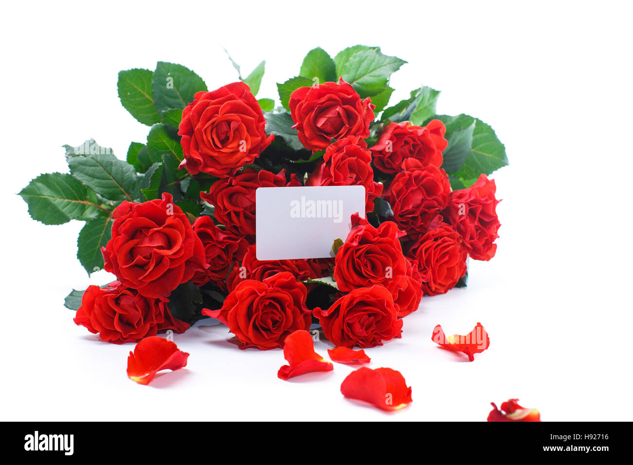 beautiful red rose Stock Photo - Alamy