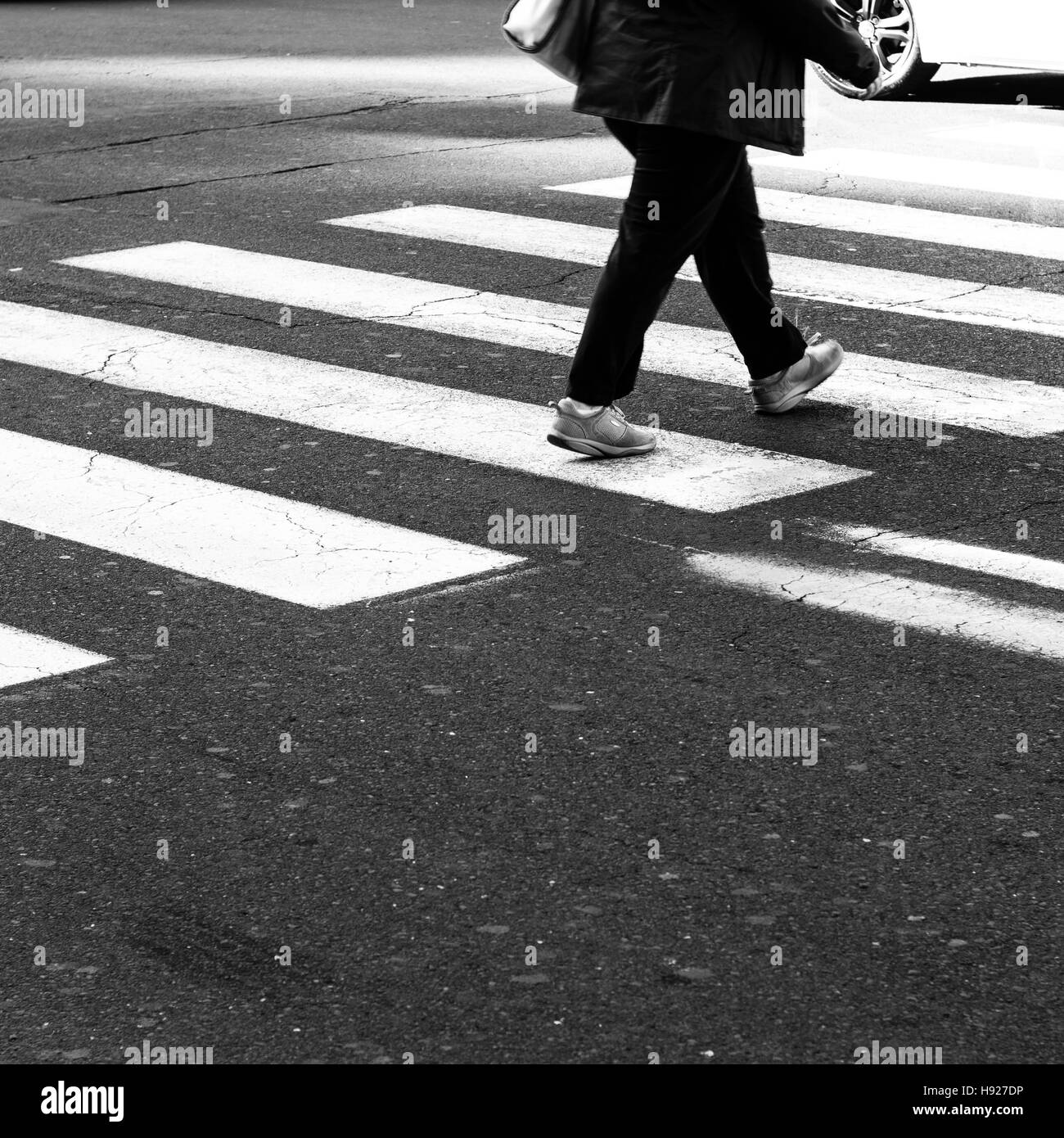 Zebra lines on street Black and White Stock Photos & Images - Alamy