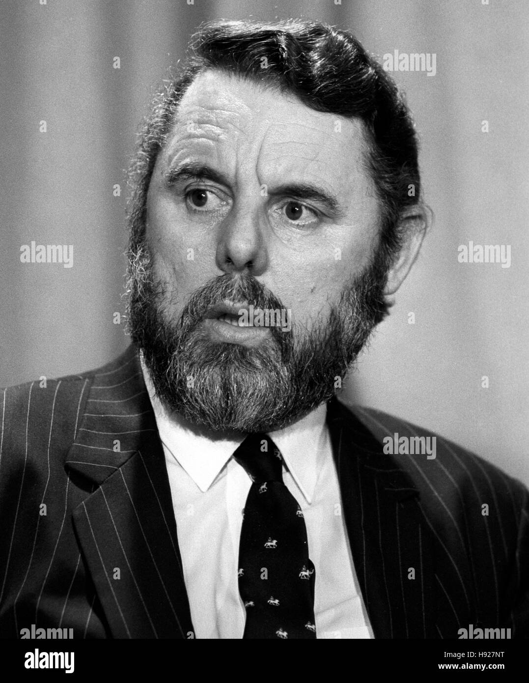 Anglican church envoy, Terry Waite Stock Photo - Alamy