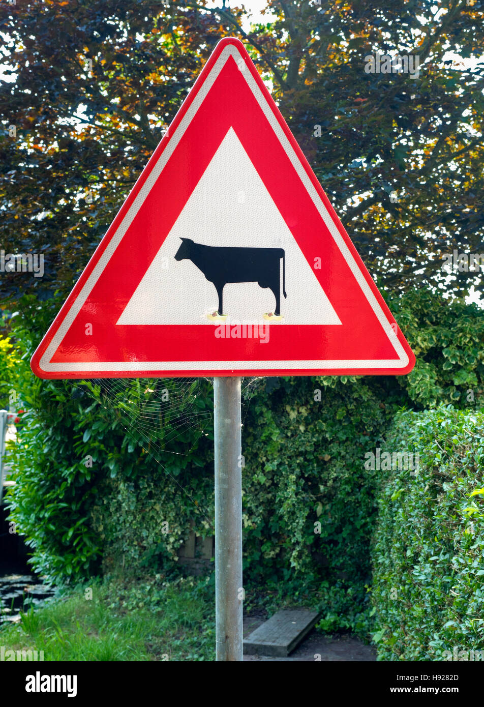 Cow warning sign hi-res stock photography and images - Alamy