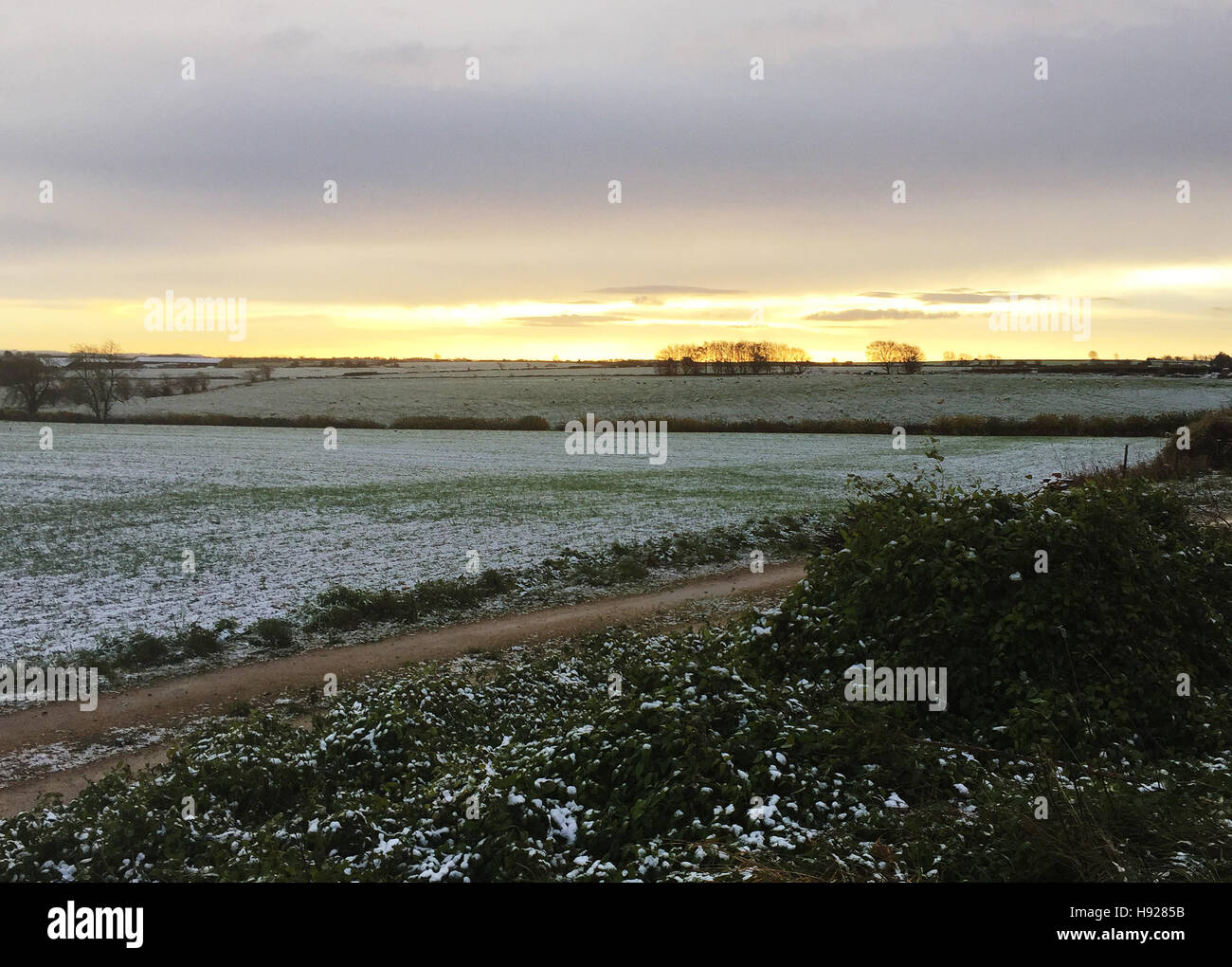 A light dusting of snow in a field off the A46 near Bath, Somerset ...