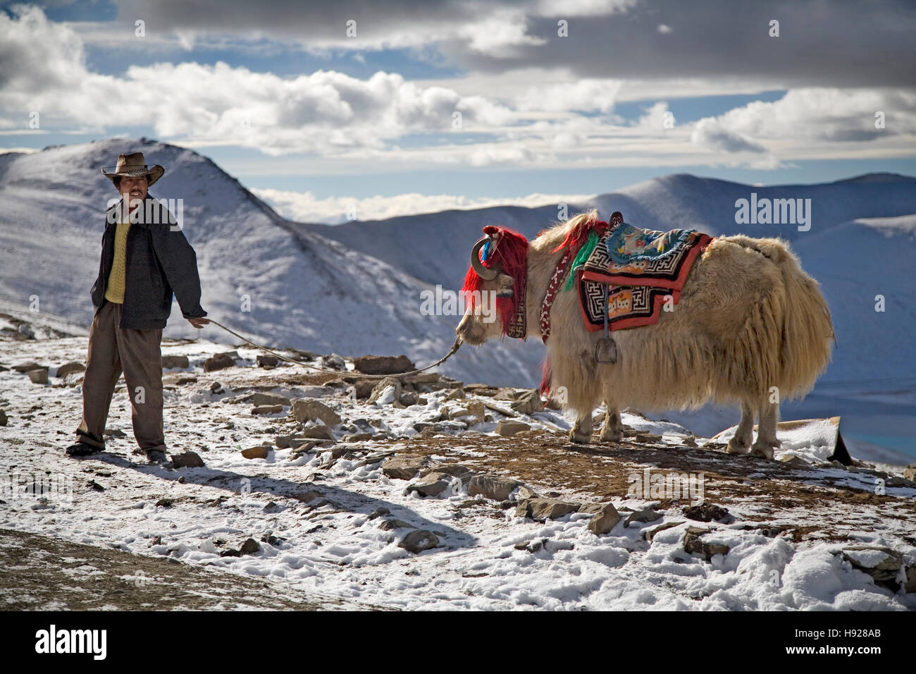 Yak and herdsman hi-res stock photography and images - Alamy