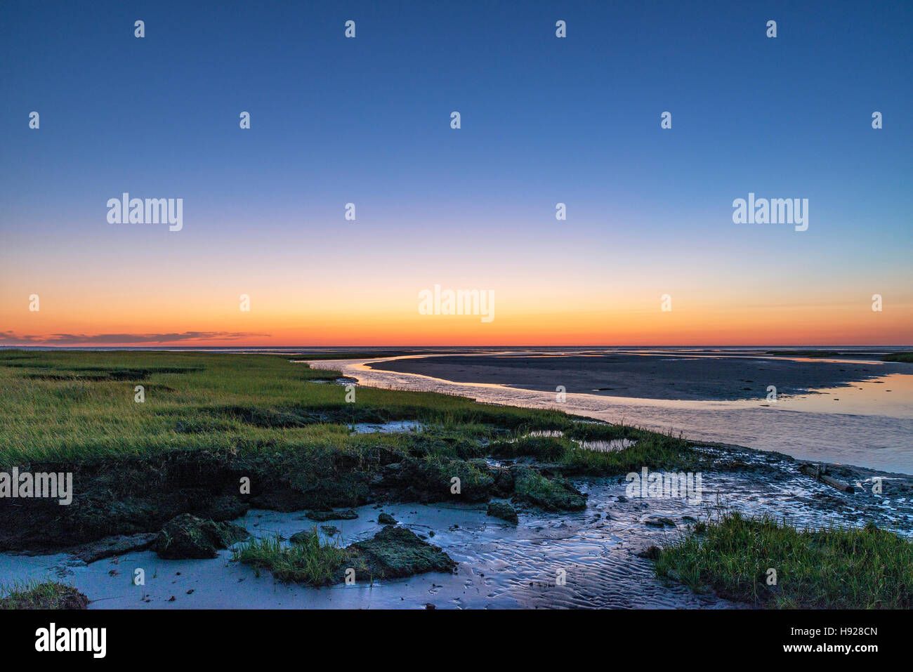 Tides pools england hi-res stock photography and images - Alamy