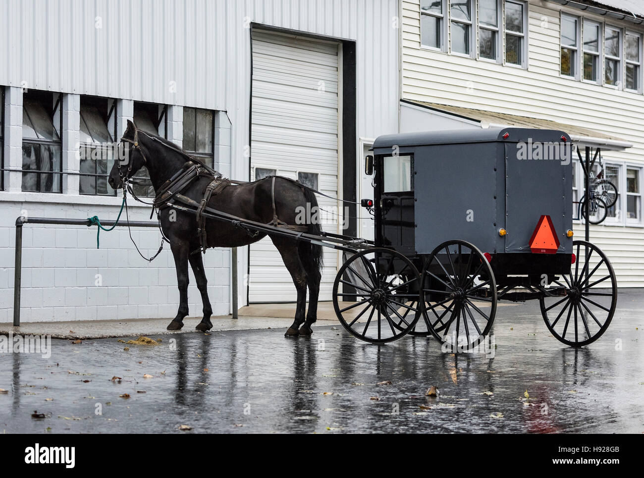 Traditional buggy hi-res stock photography and images - Alamy