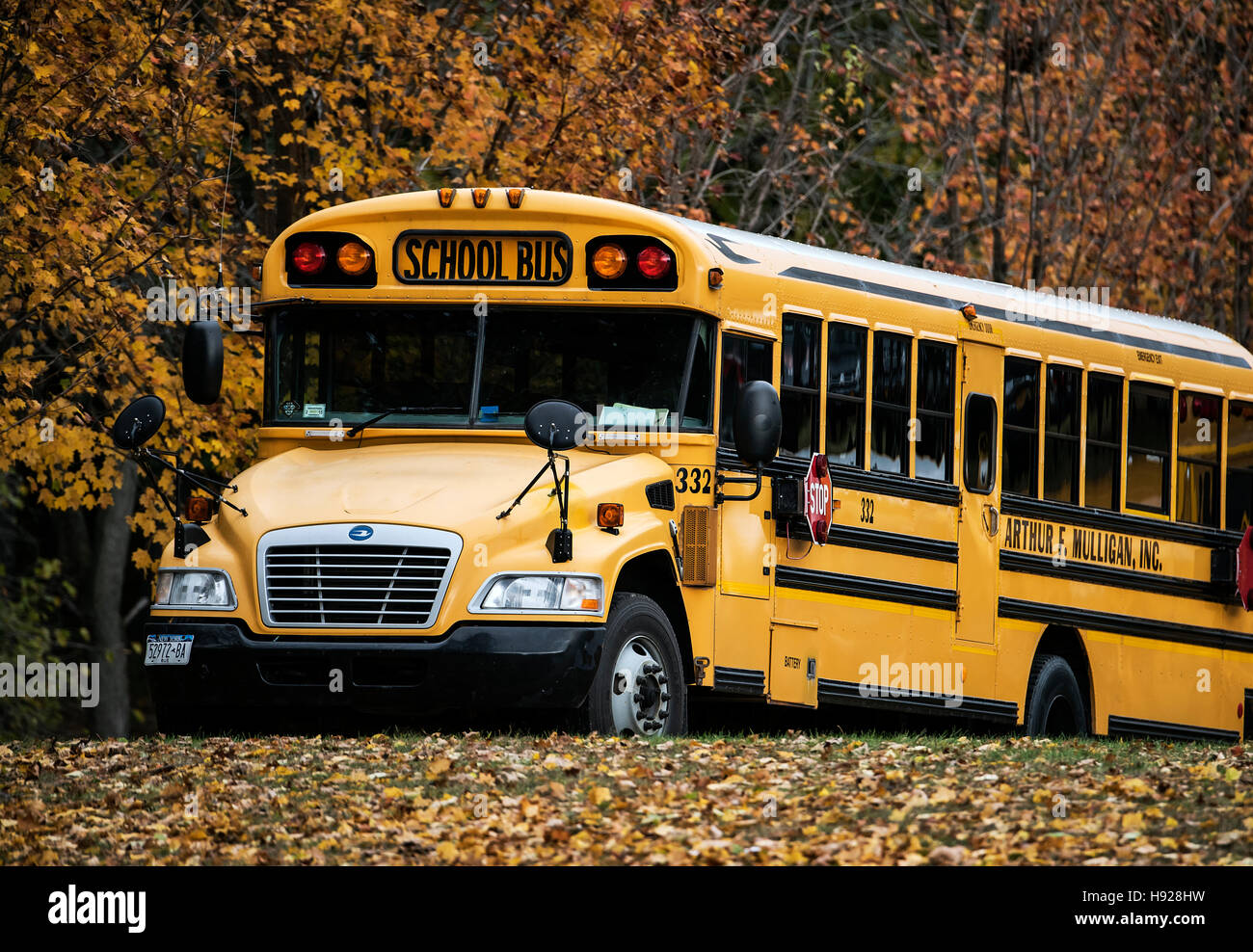 Schoolbus rural hi-res stock photography and images - Alamy