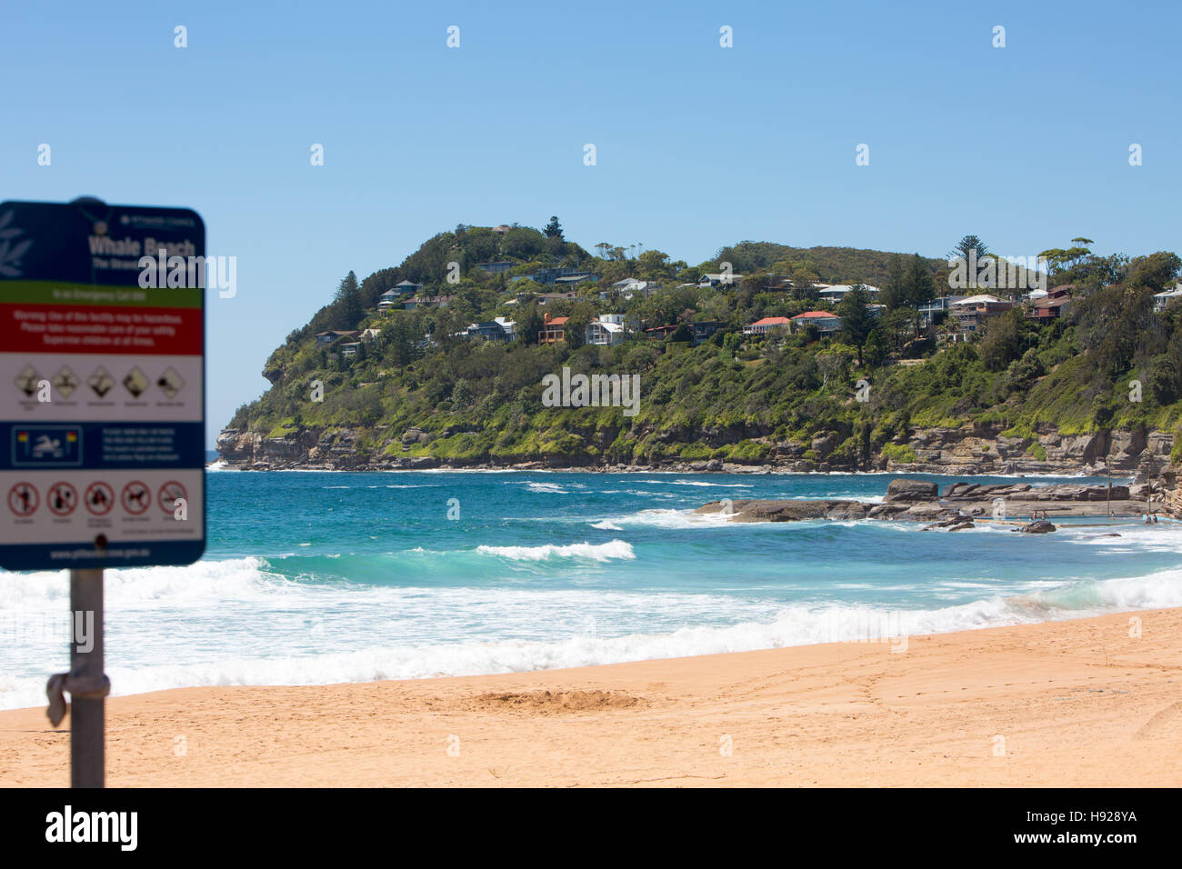 Whale beach, one of Sydney's northern beaches in summer time, Sydney ...