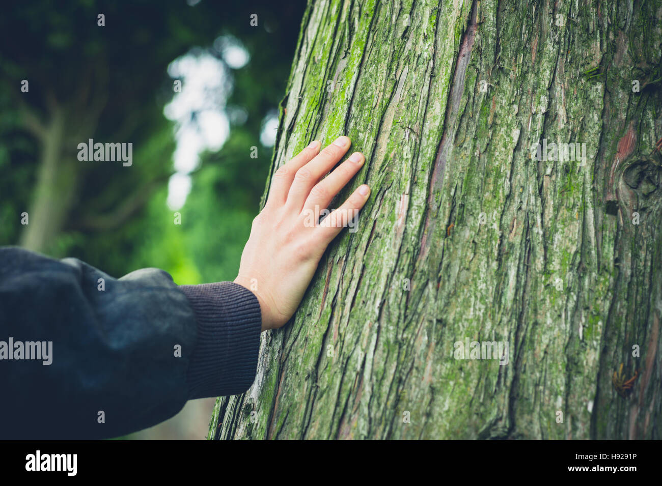 A young female hand is resting on a tree Stock Photo - Alamy