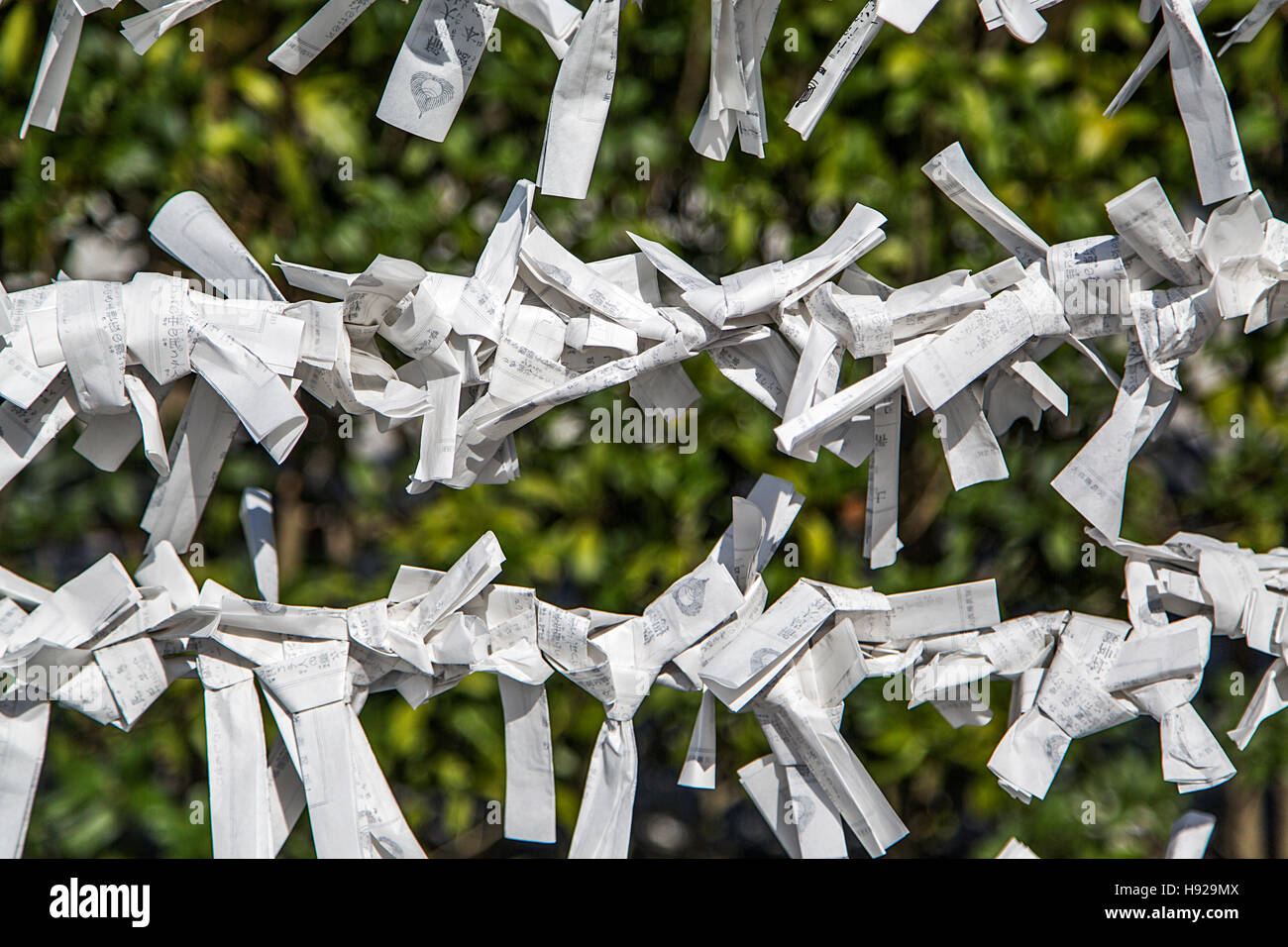 Random fortunes written on paper strips and tied to rope fence for good ...