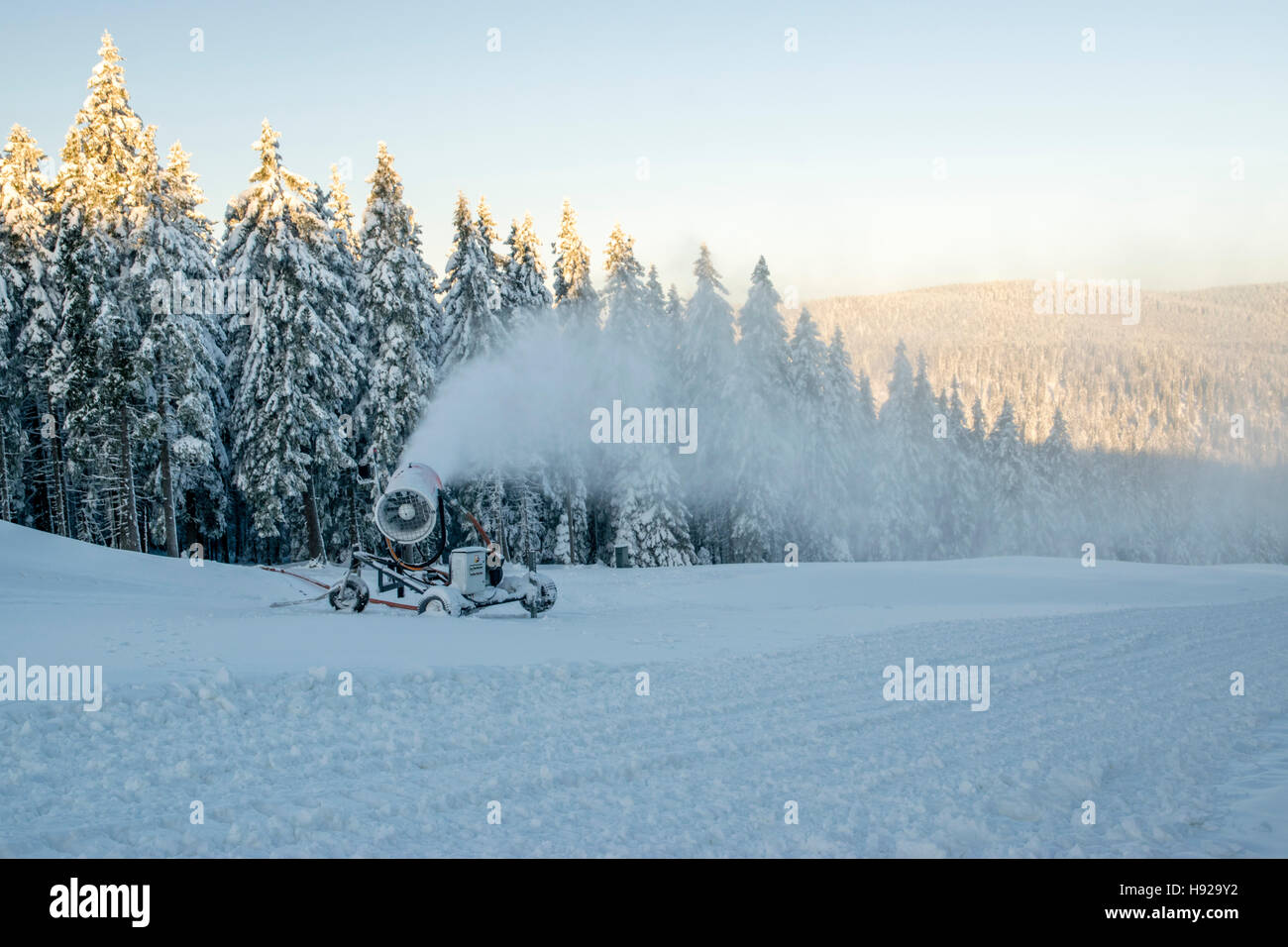Ski light trees hi-res stock photography and images - Alamy