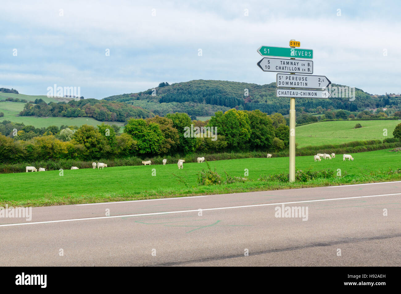 Road, road signs, countryside and cows in the Morvan Mountains, in ...