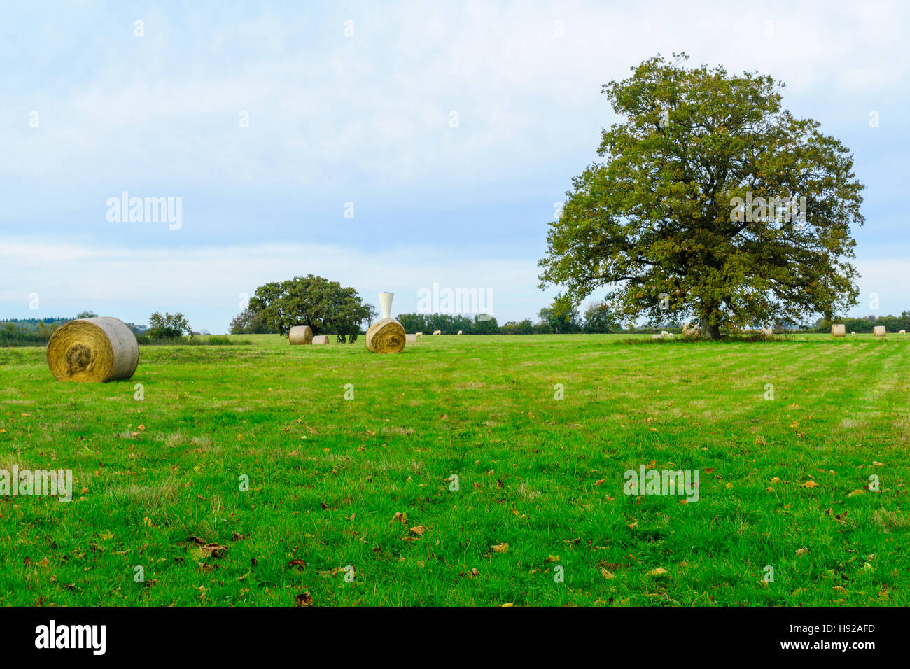 Countryside and haystack in Nievre, Burgundy, France Stock Photo - Alamy