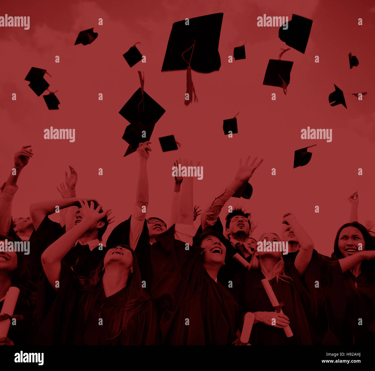 Student Celebration Education Graduation Happiness Concept Stock Photo ...