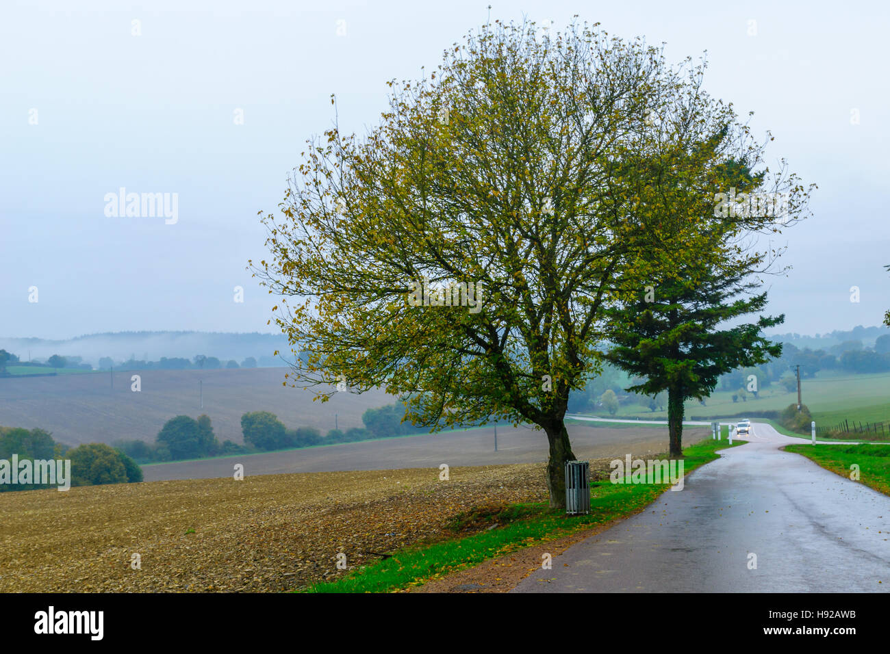 Countryside and road in a rainy day, in Nievre, Burgundy, France Stock ...
