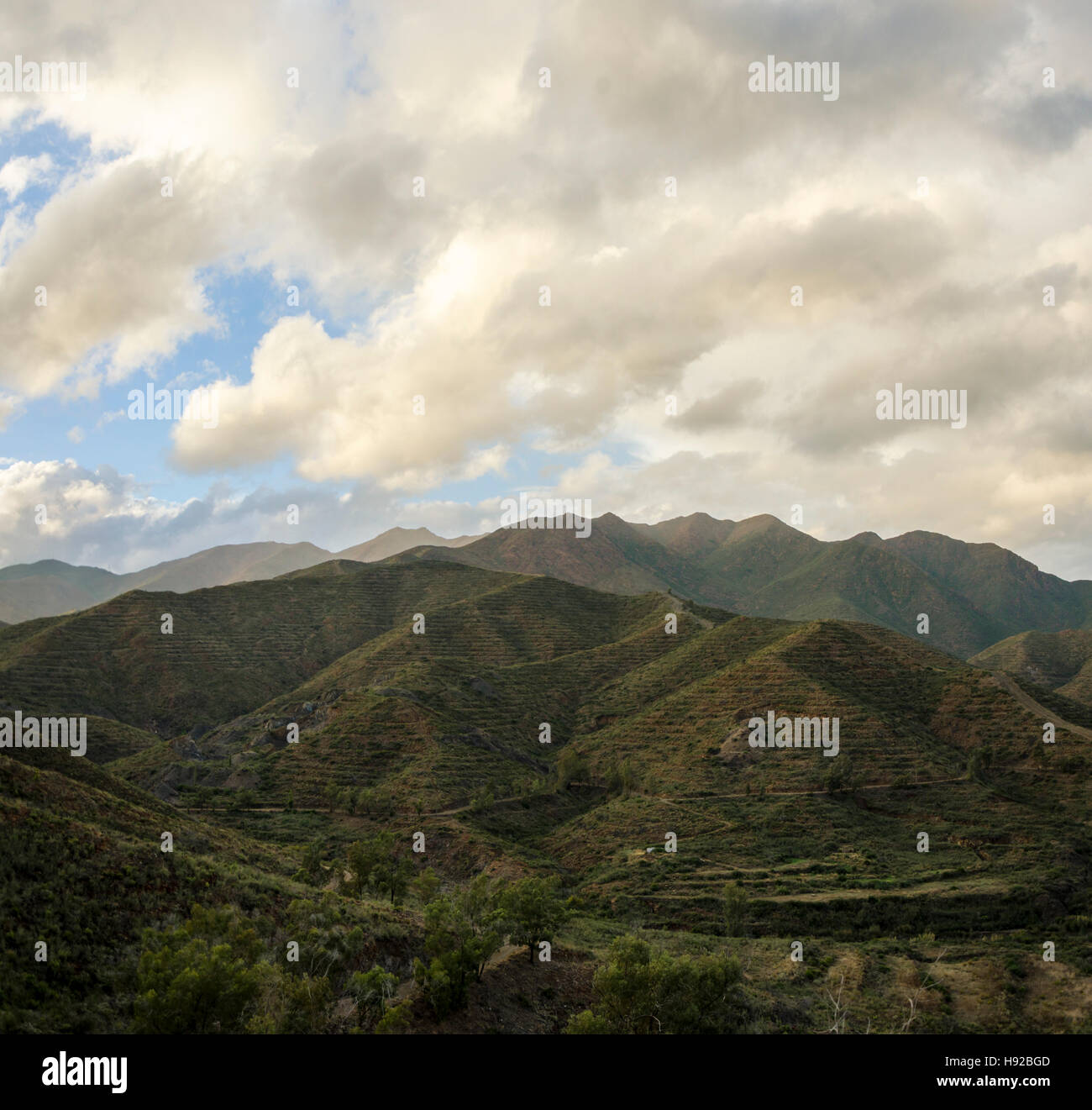 Scenic Mountain view of Sierra Negra, with reforestation pattern ...