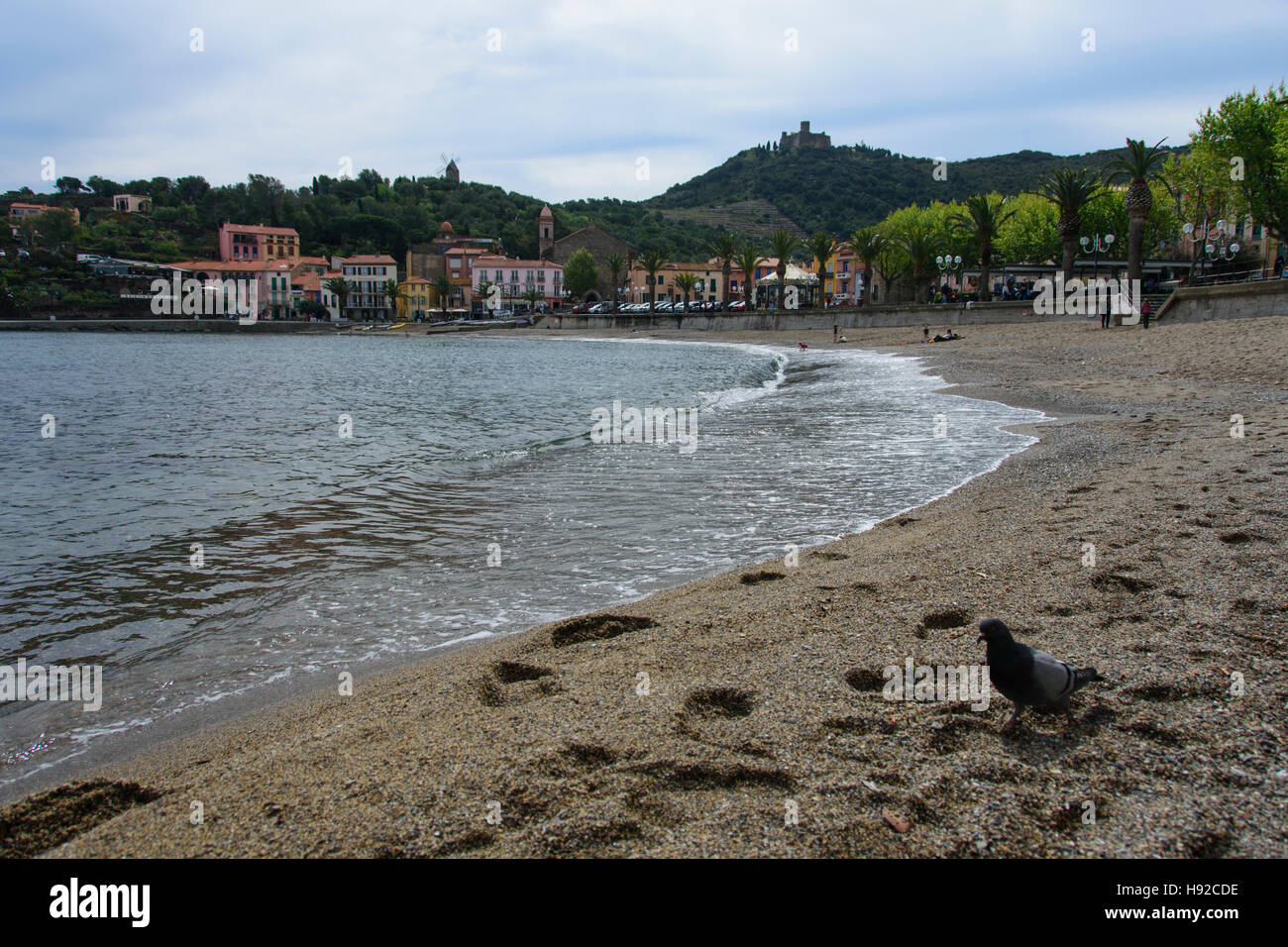 Beach on the bay of Collioure. France Stock Photo - Alamy