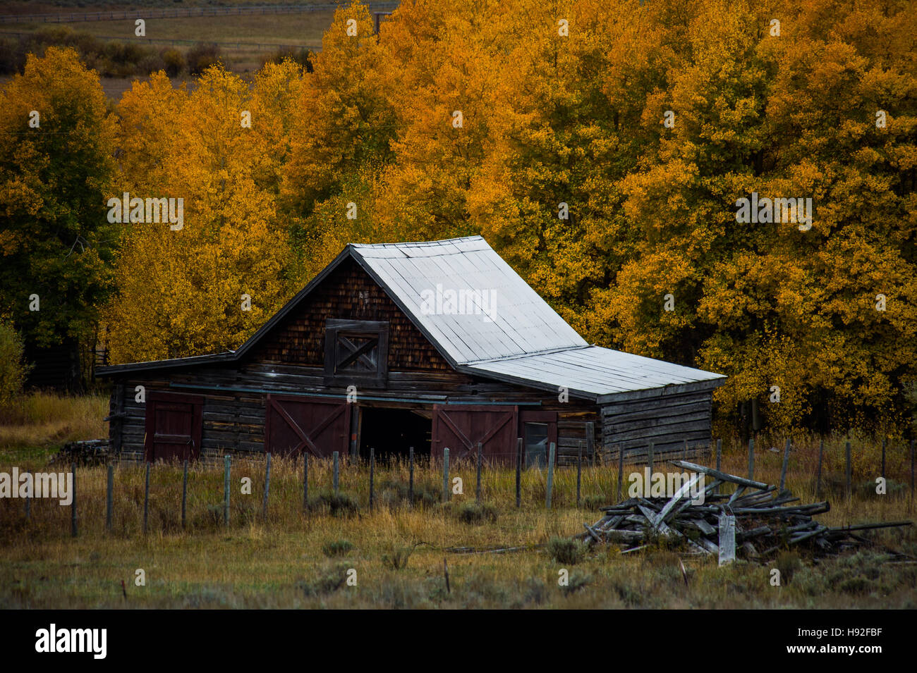 Old log cabin barn in the mountains Stock Photo - Alamy
