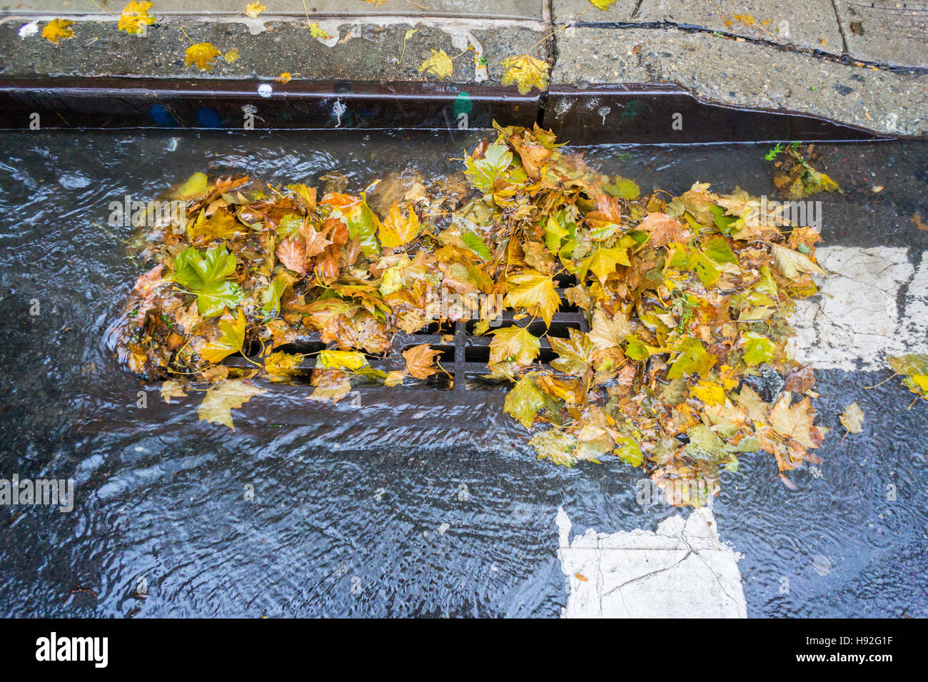 Partially rain water filled hi-res stock photography and images - Alamy