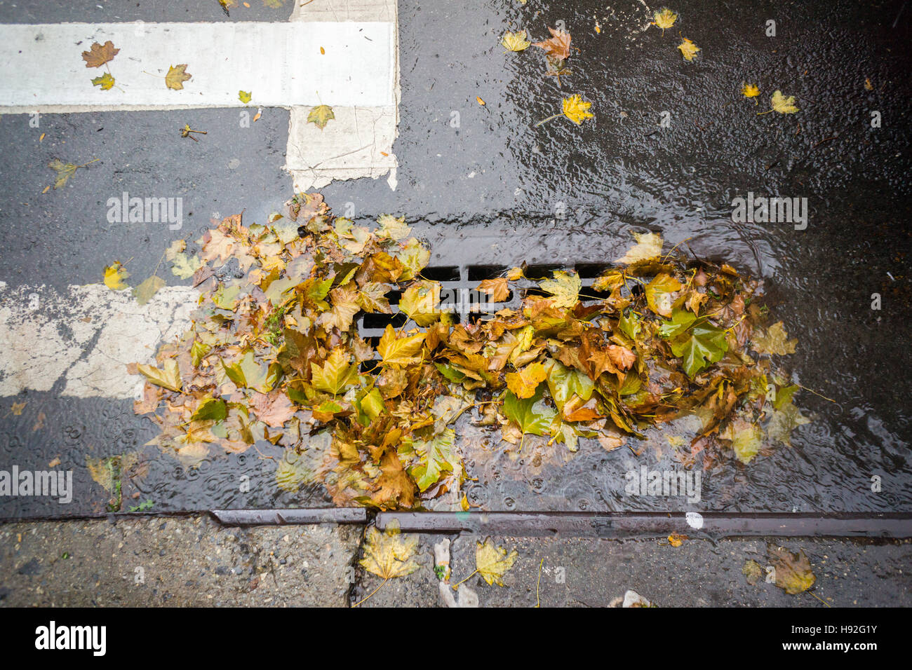 A partially clogged storm drain, filled with the remains of colorful ...