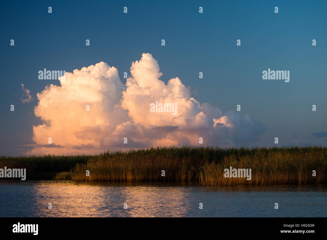 Sunrise over the marsh in Venice Louisiana Stock Photo - Alamy