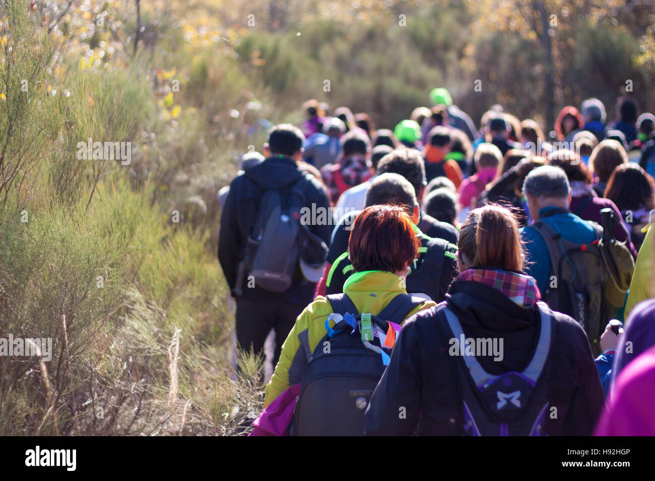 People who are doing trekking through paths Stock Photo - Alamy